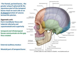 lateralis and frontalis-lecture 2.pptx
