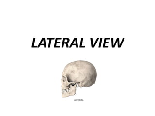lateralis and frontalis-lecture 2.pptx