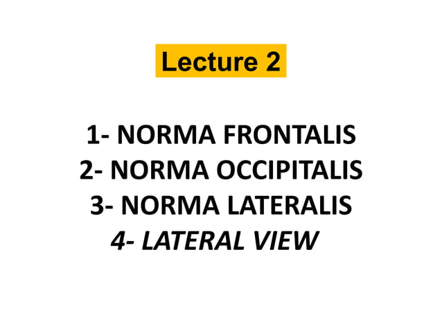 lateralis and frontalis-lecture 2.pptx
