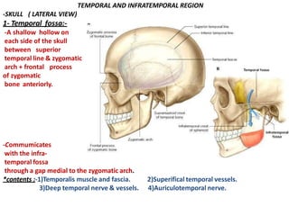 lateralis and frontalis-lecture 2.pptx