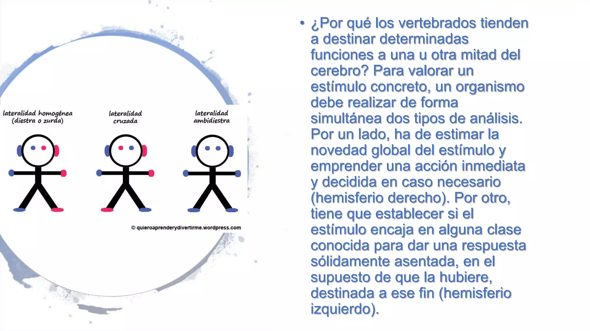 Lateralización del cerebro. | PPTX
