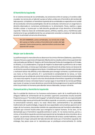 Lateralización del cerebro | DOCX