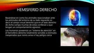 Lateralización del cerebro | PPTX