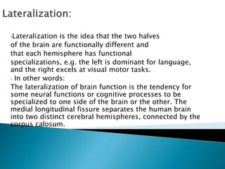 Lateralization | PPTX