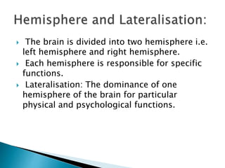 Lateralization | PPTX