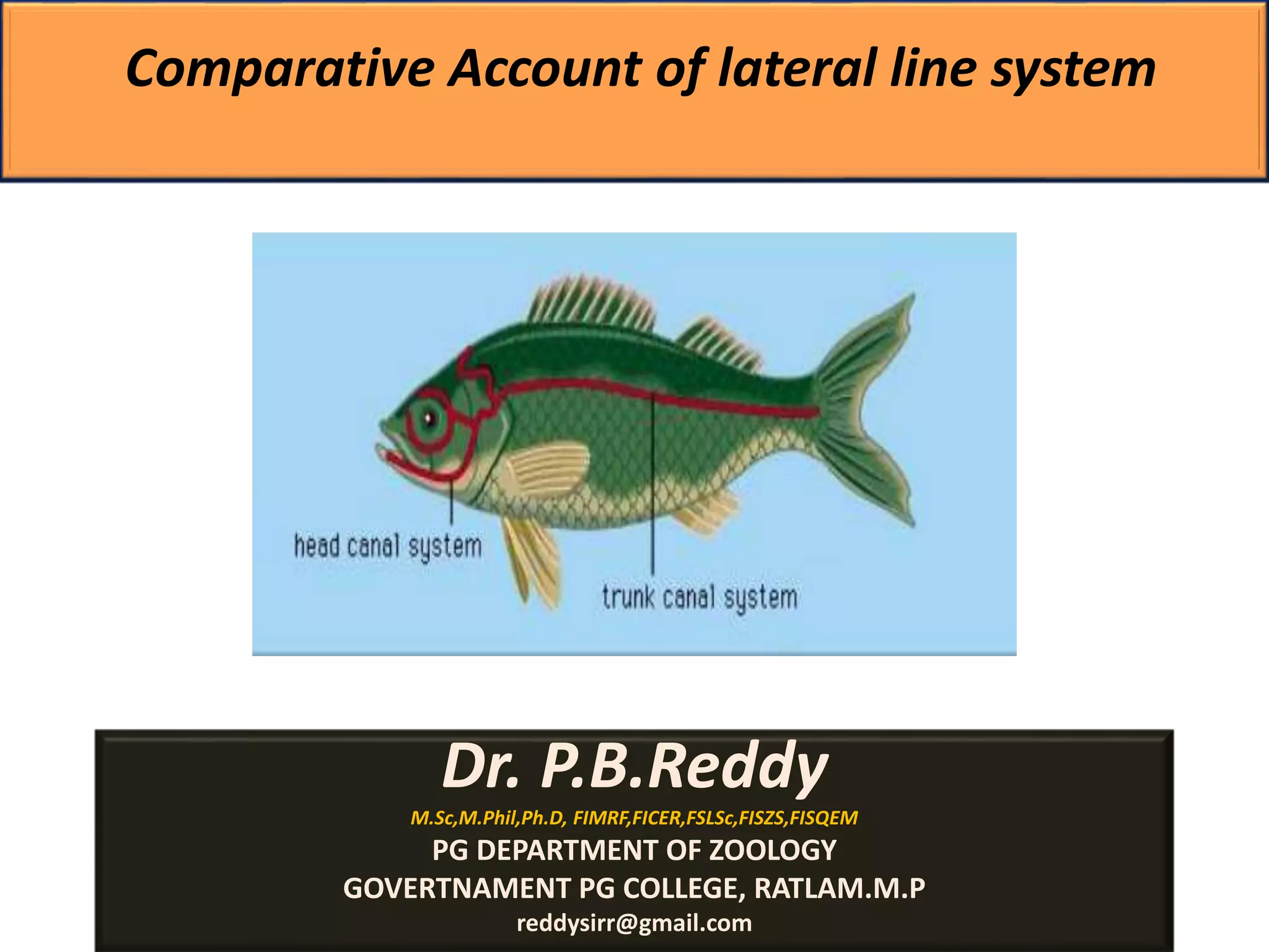 Lateral line system | PPTX