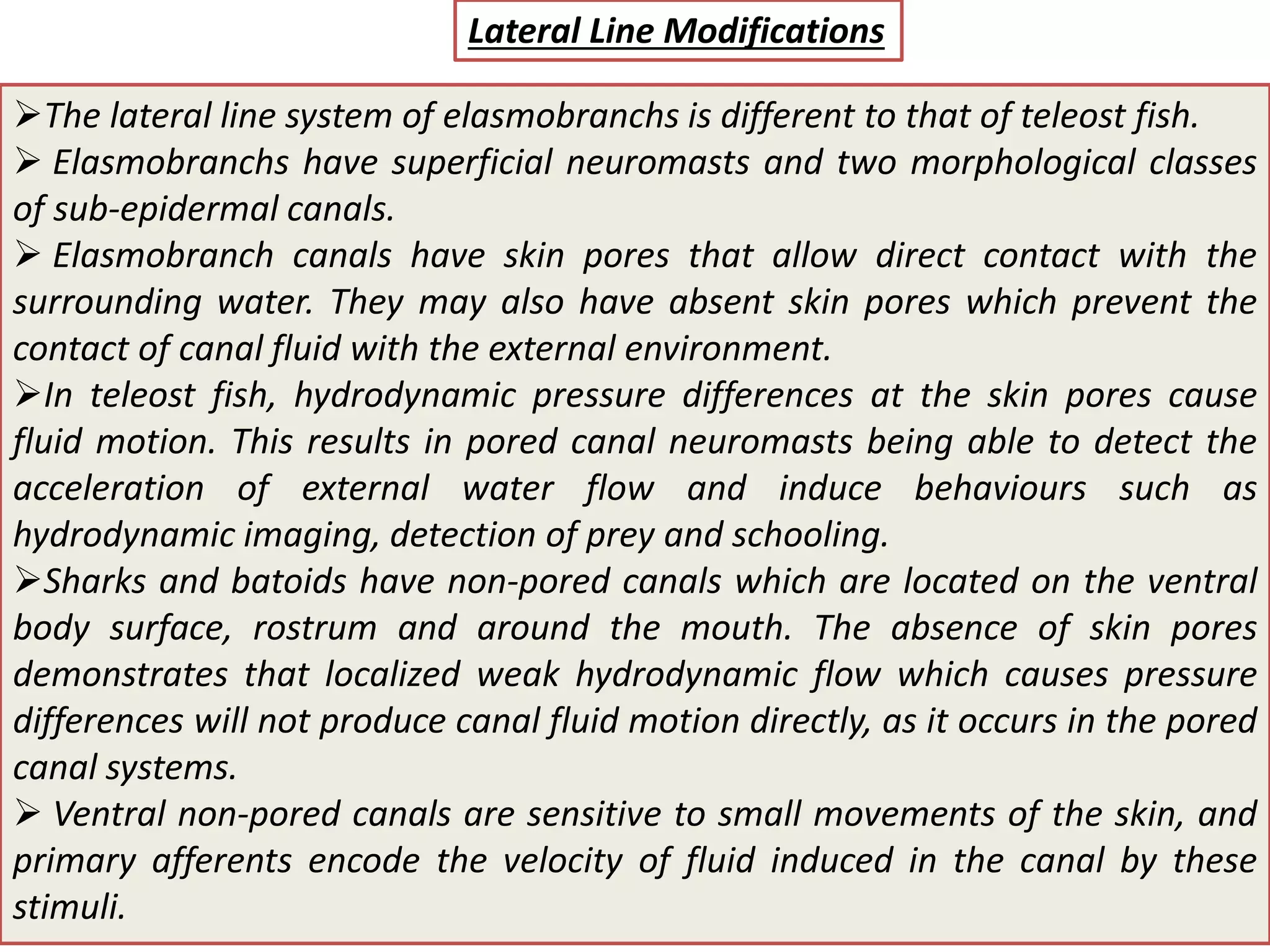Lateral line system | PPTX