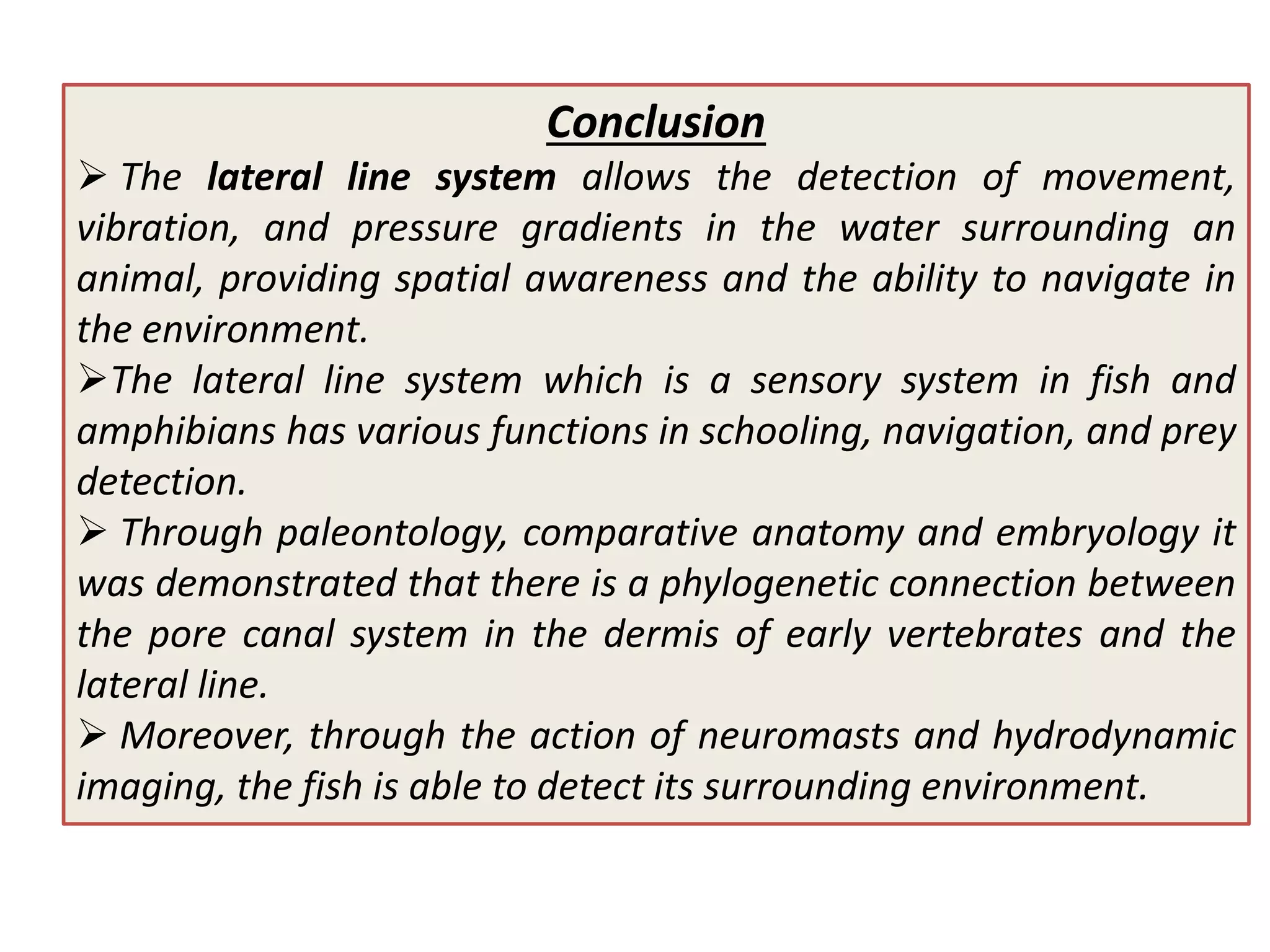 Lateral line system | PPTX