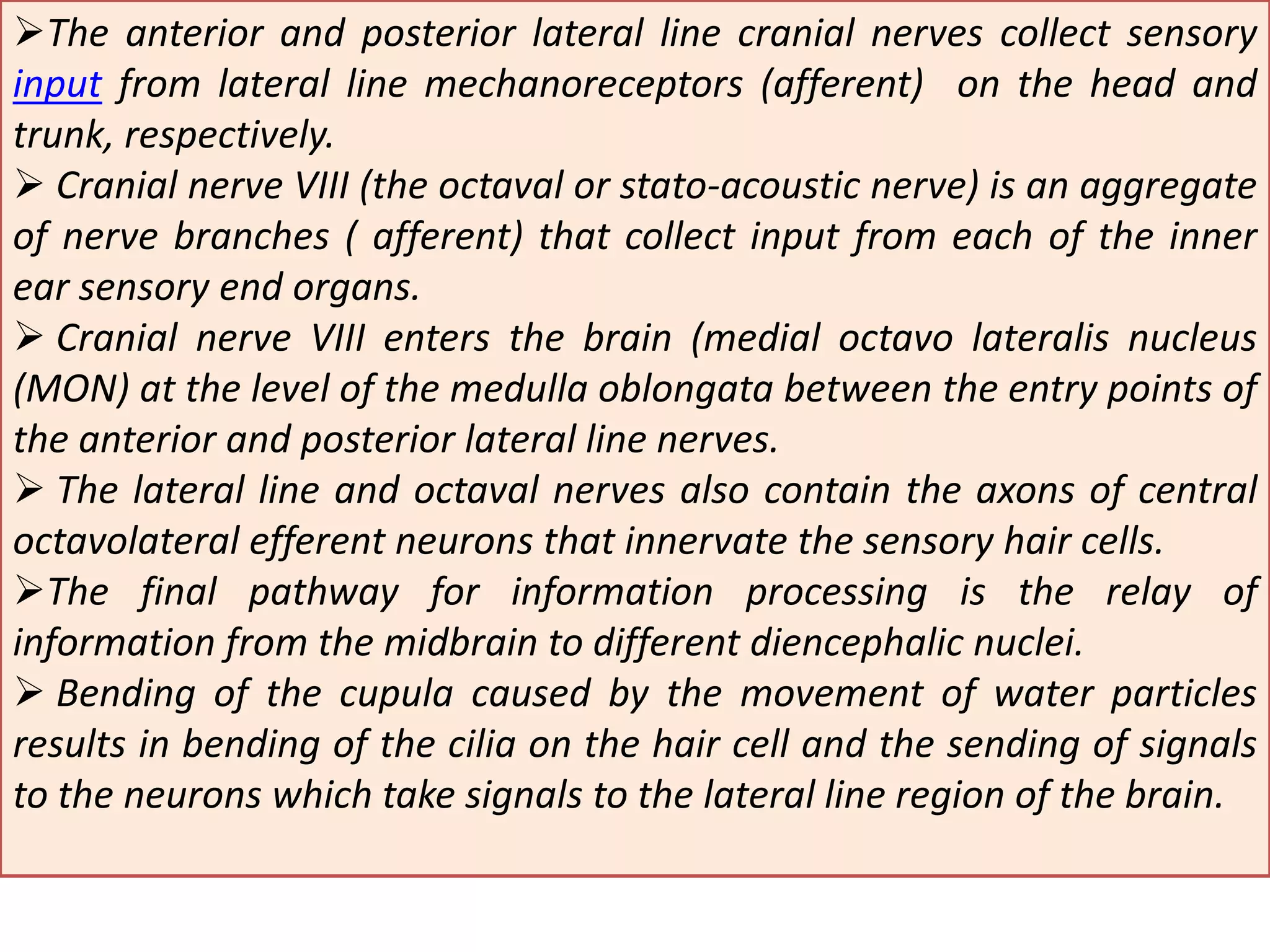 Lateral line system | PPTX