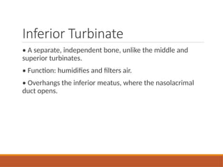 Lateral_Nal_Wall_Anatomy_Uphfhfdated.pptx