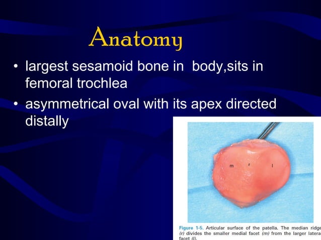 Lateral patellar compression syndrome | PPT