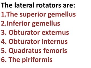 Lateral rotaters of hip | PPTX