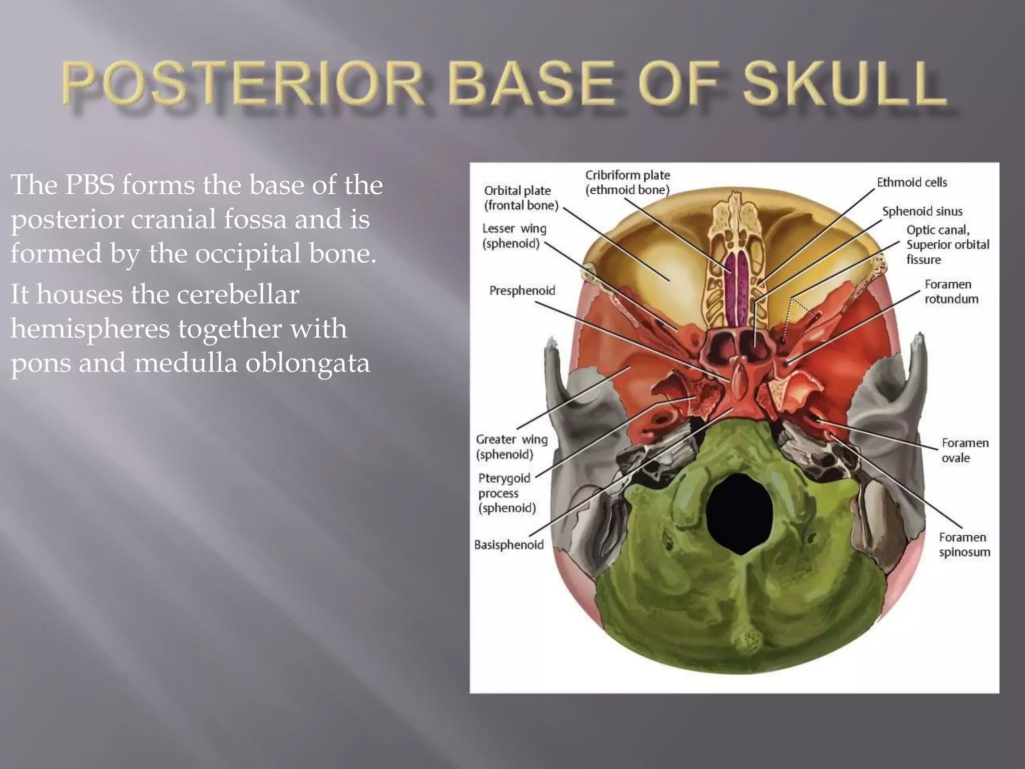 Lateral skull base anatomy and applied science by Dr, bomkar bam | PPTX