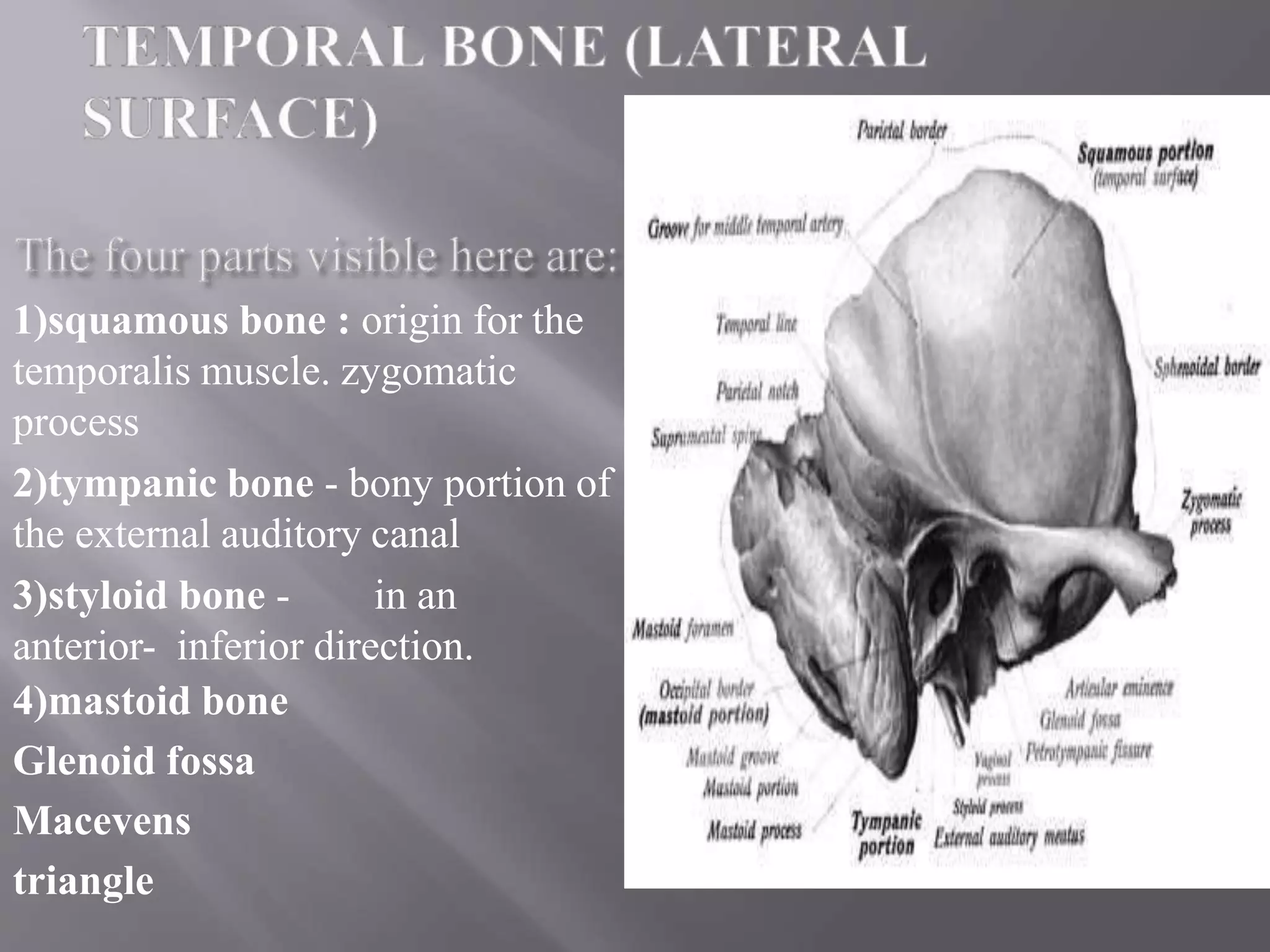 Lateral skull base anatomy and applied science by Dr, bomkar bam | PPTX