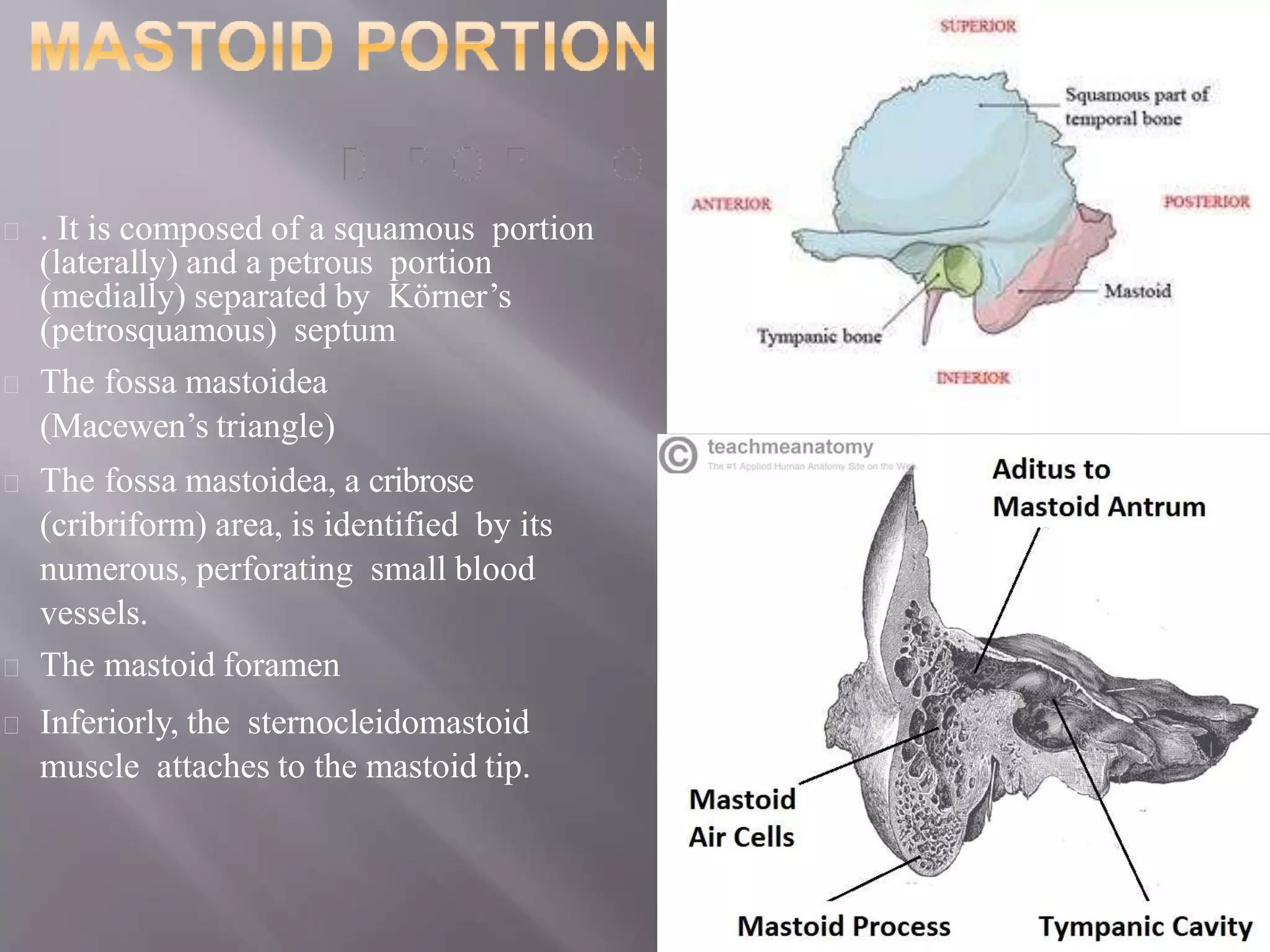 Lateral skull base anatomy and applied science by Dr, bomkar bam | PPTX