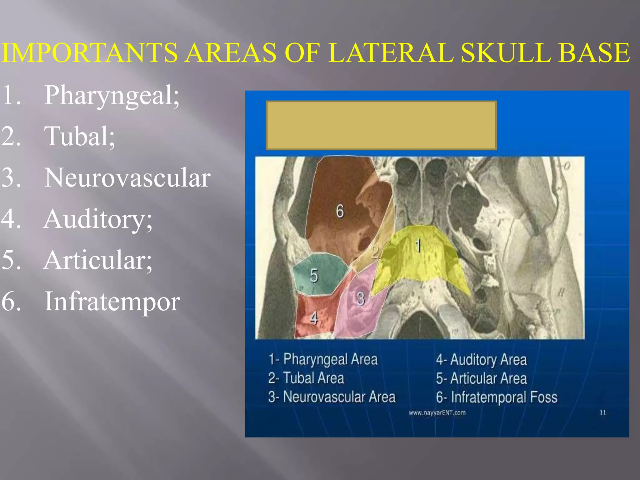 Lateral skull base anatomy and applied science by Dr, bomkar bam | PPTX
