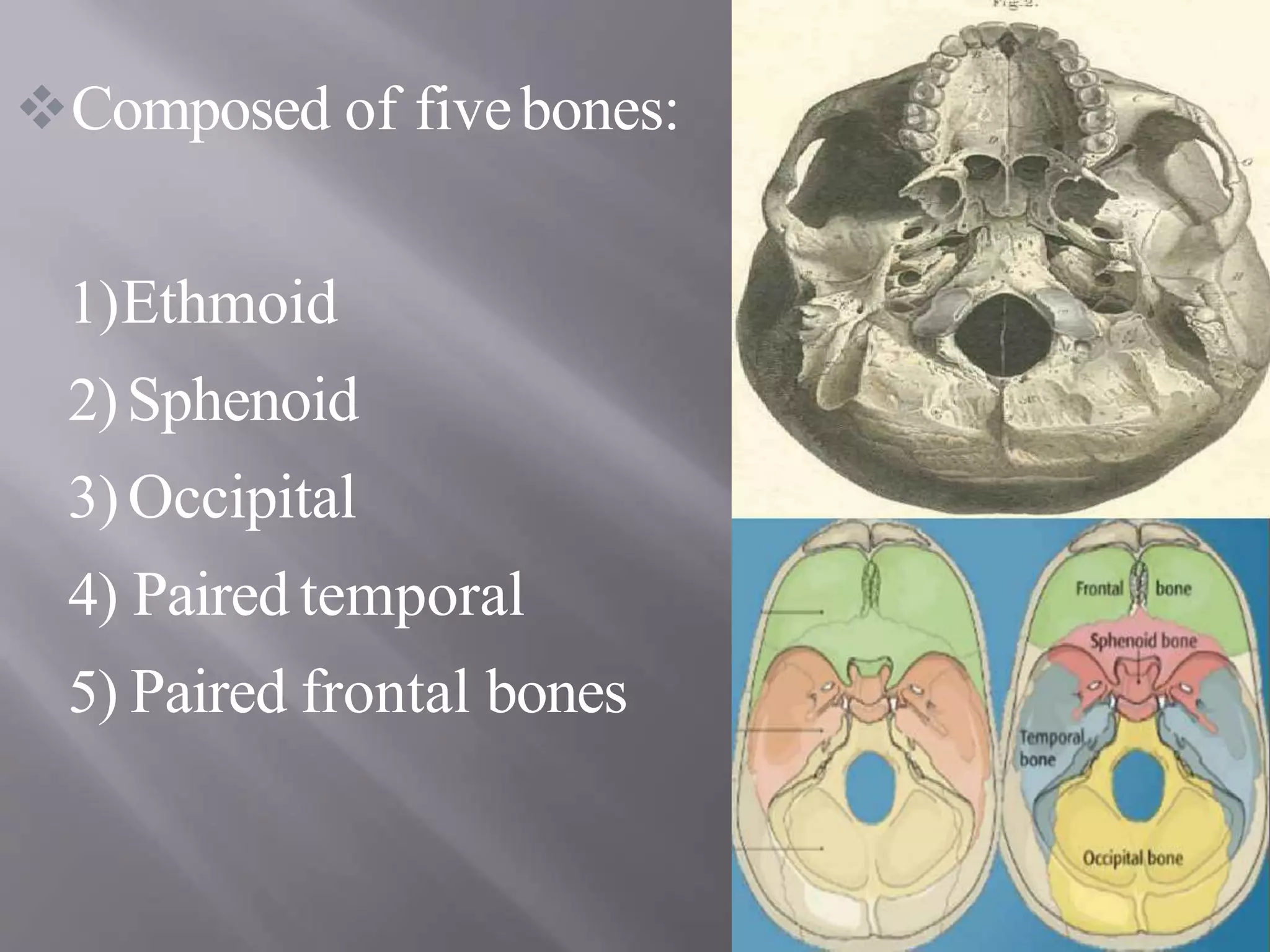 Lateral skull base anatomy and applied science by Dr, bomkar bam | PPTX