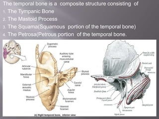 Lateral skull base anatomy and applied science by Dr, bomkar bam | PPTX