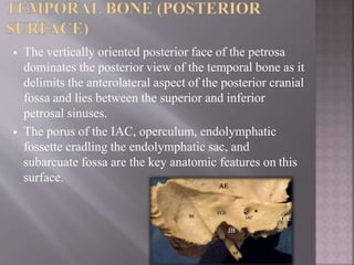 Lateral skull base anatomy and applied science by Dr, bomkar bam | PPTX