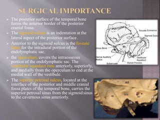 Lateral skull base anatomy and applied science by Dr, bomkar bam | PPTX