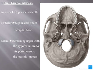 Lateral skull base anatomy and applied science by Dr, bomkar bam | PPTX
