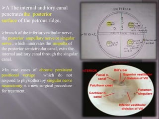 Lateral skull base anatomy and applied science by Dr, bomkar bam | PPTX