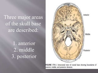 Lateral skull base anatomy and applied science by Dr, bomkar bam | PPTX