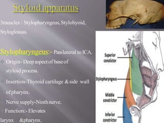 Lateral skull base anatomy and applied science by Dr, bomkar bam | PPTX