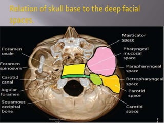 Lateral skull base anatomy and applied science by Dr, bomkar bam | PPTX
