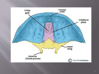 Lateral skull base anatomy and applied science by Dr, bomkar bam | PPTX