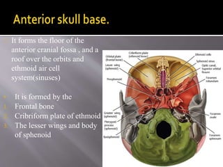 Anterior Skull Base Anatomy