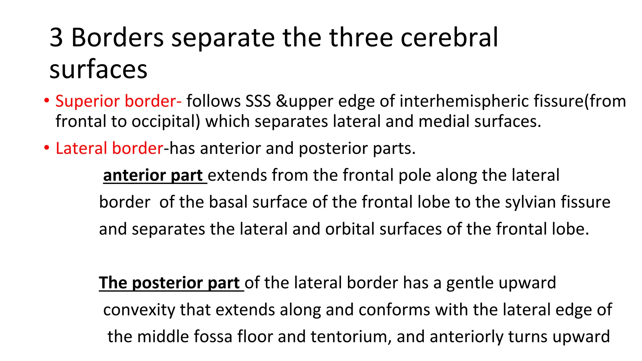 LATERAL SURFACE OF CEREBRAL HEMISPHERE.pptx | Brain and Nervous System Disorders | Diseases and ...