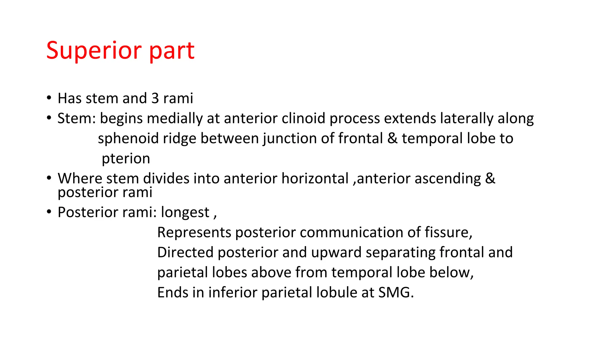 LATERAL SURFACE OF CEREBRAL HEMISPHERE.pptx | Brain and Nervous System ...