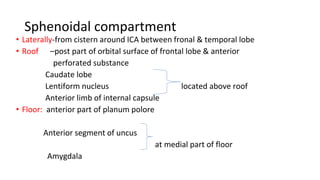 LATERAL SURFACE OF CEREBRAL HEMISPHERE.pptx | Brain and Nervous System Disorders | Diseases and ...