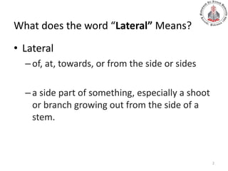 Lateral thinking by edward de bono | PPTX