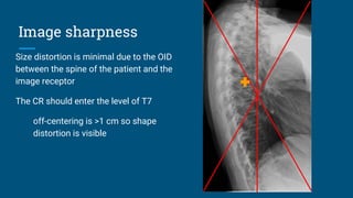 Lateral t spine kaleigh | PPTX