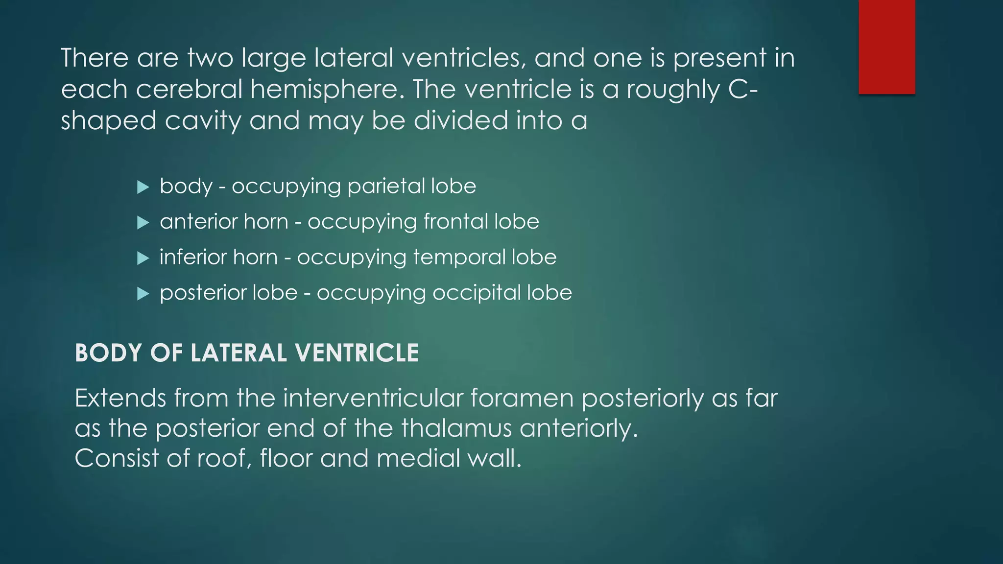 Lateral Ventricle | PPTX