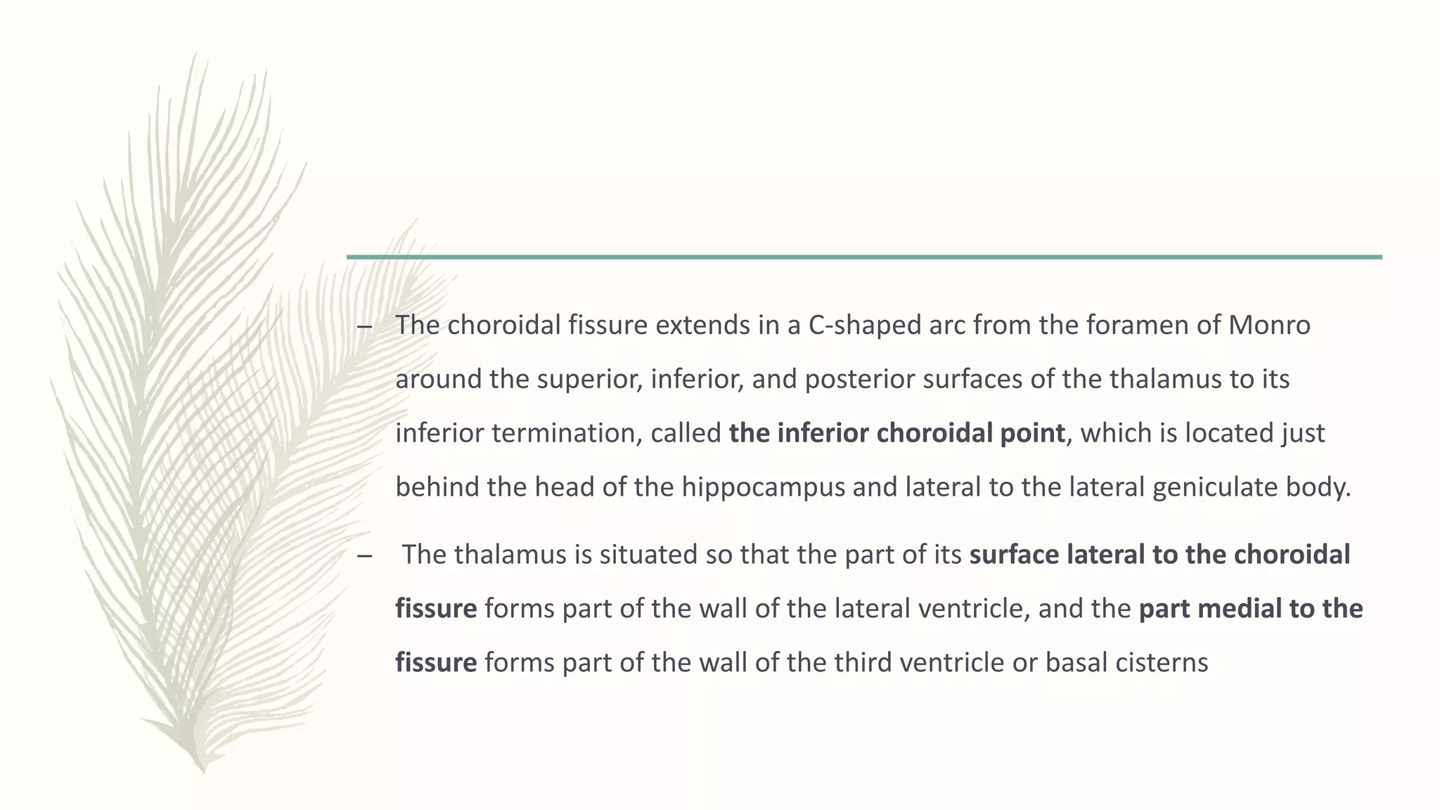 Lateral ventricle anatomy and approaches | PPTX