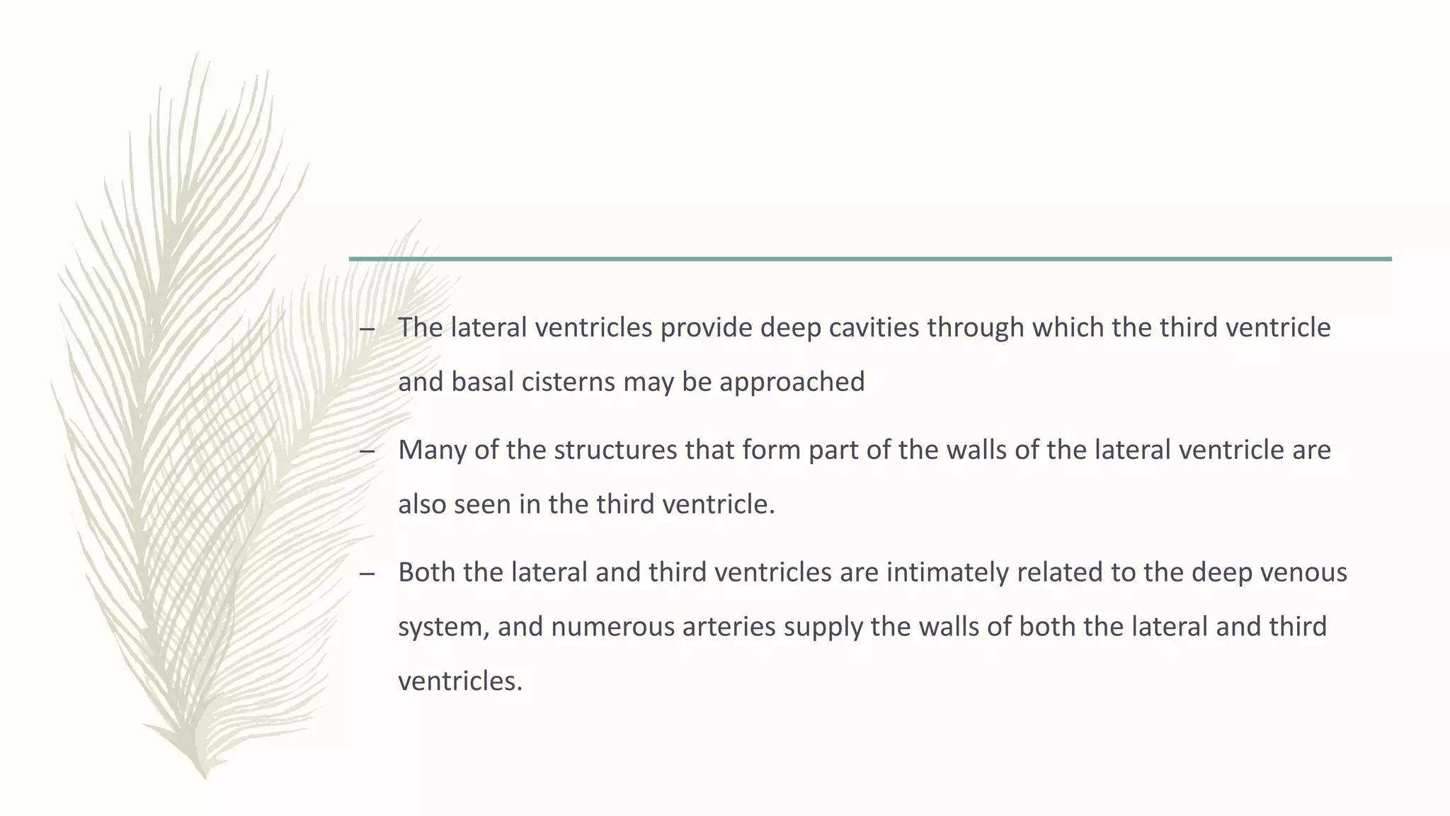 Lateral ventricle anatomy and approaches | PPTX