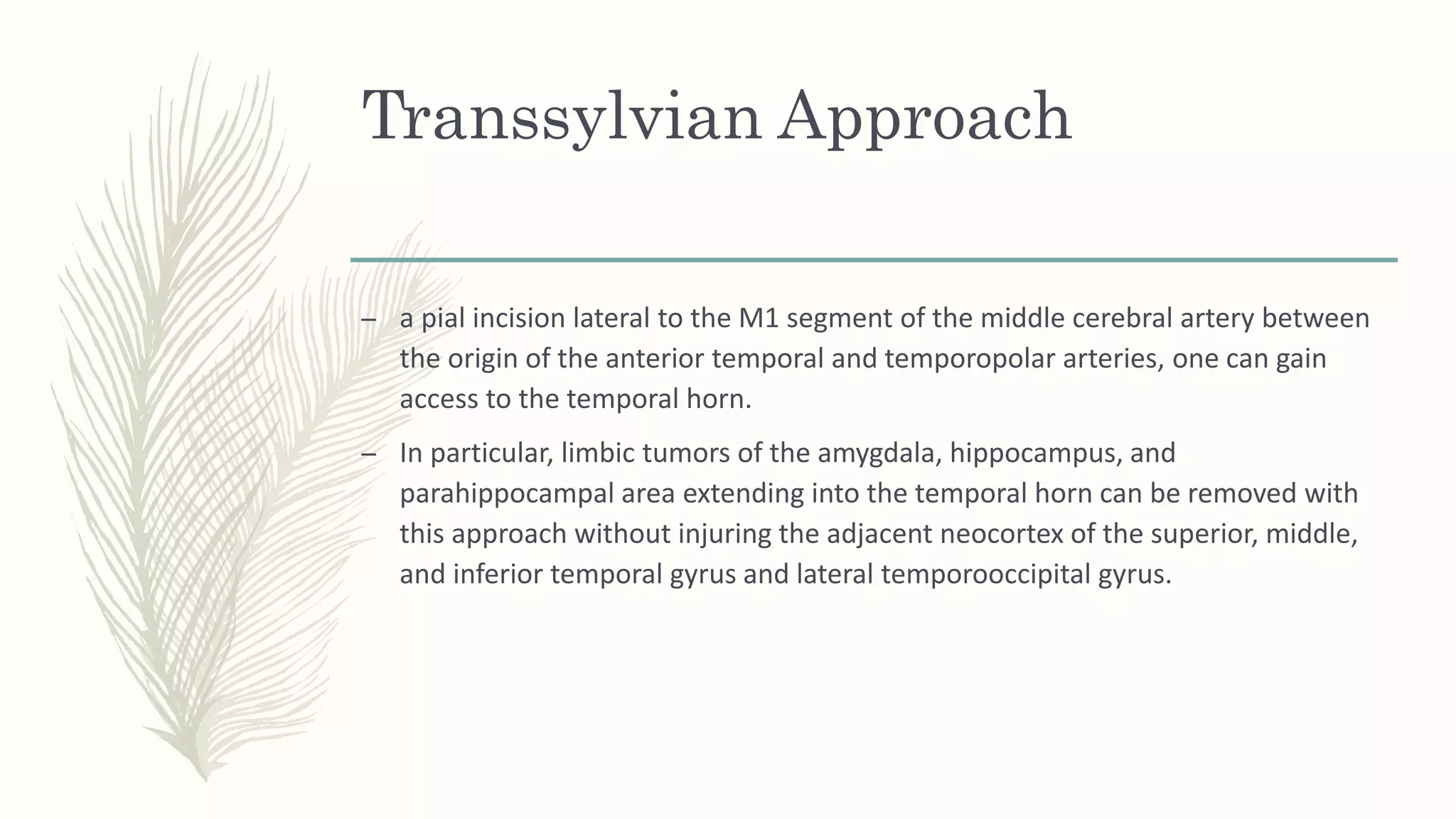 Lateral ventricle anatomy and approaches | PPTX