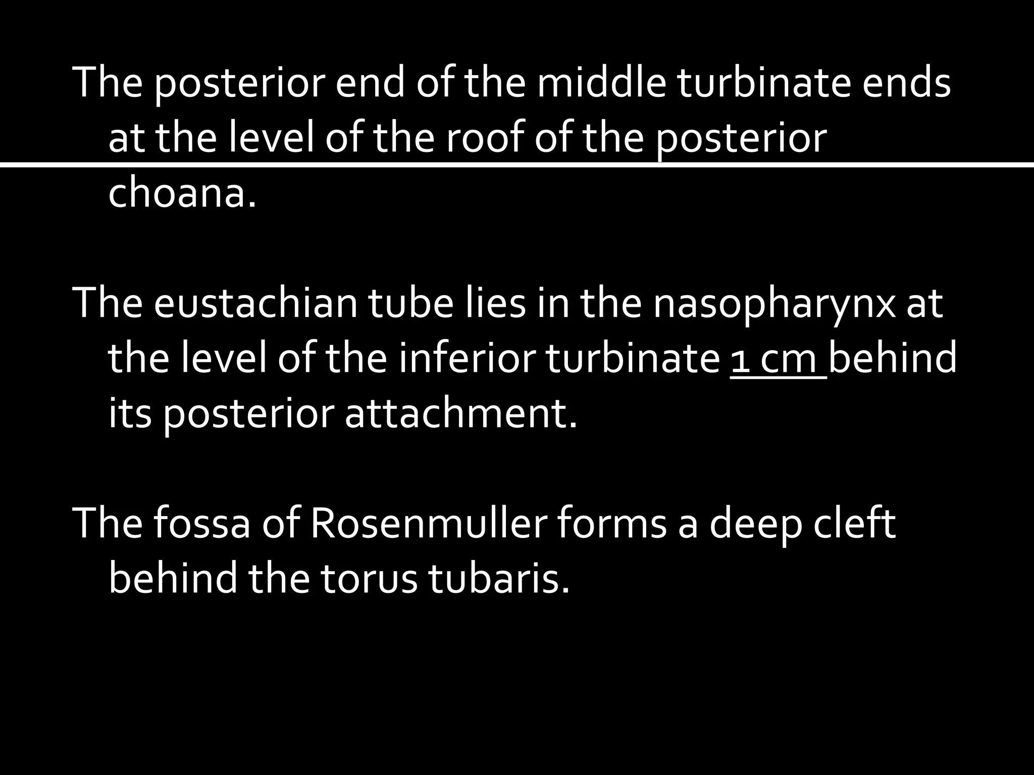 Anatomy of Lateral wall of nose | PPTX