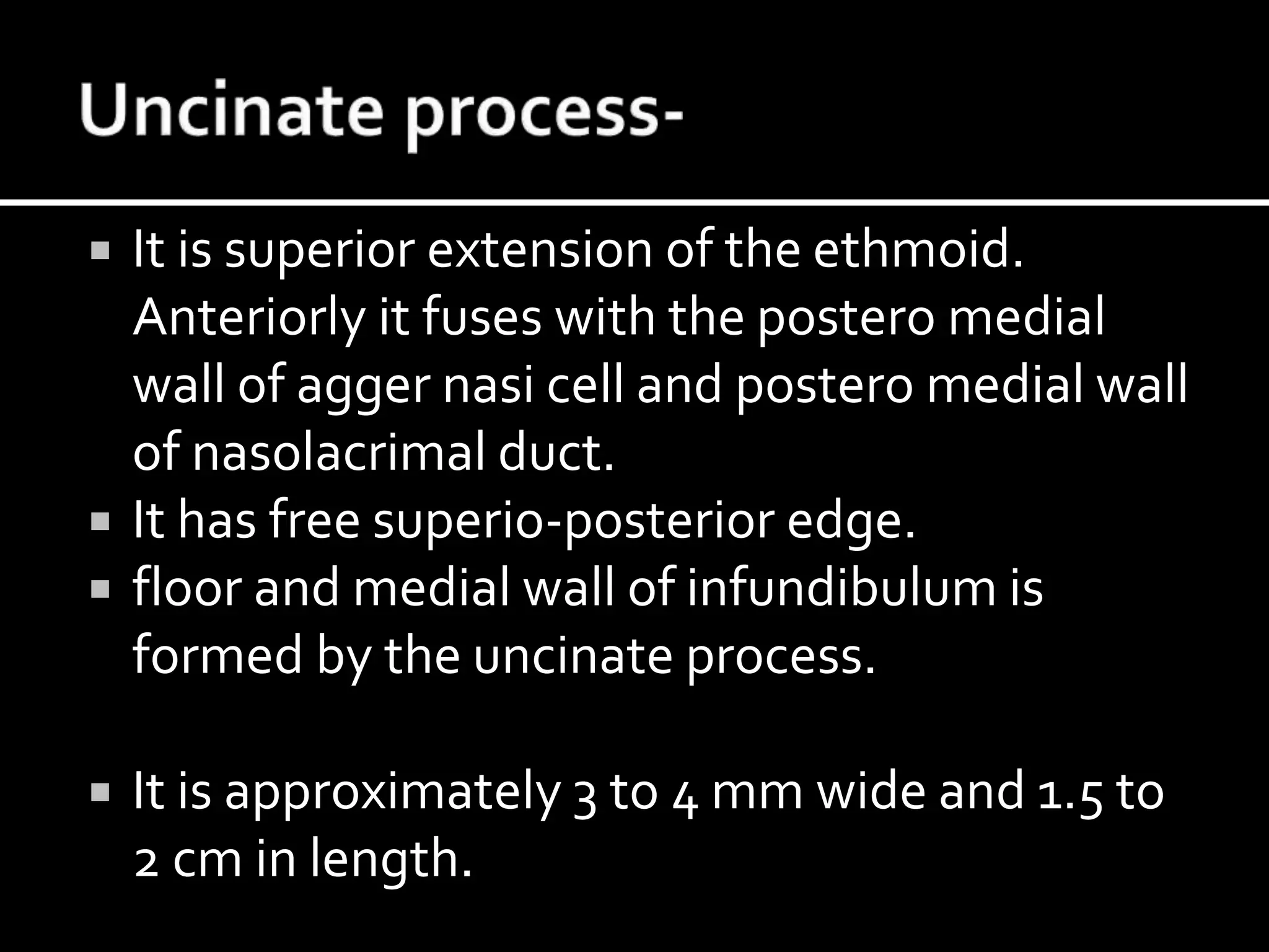 Anatomy of Lateral wall of nose | PPTX