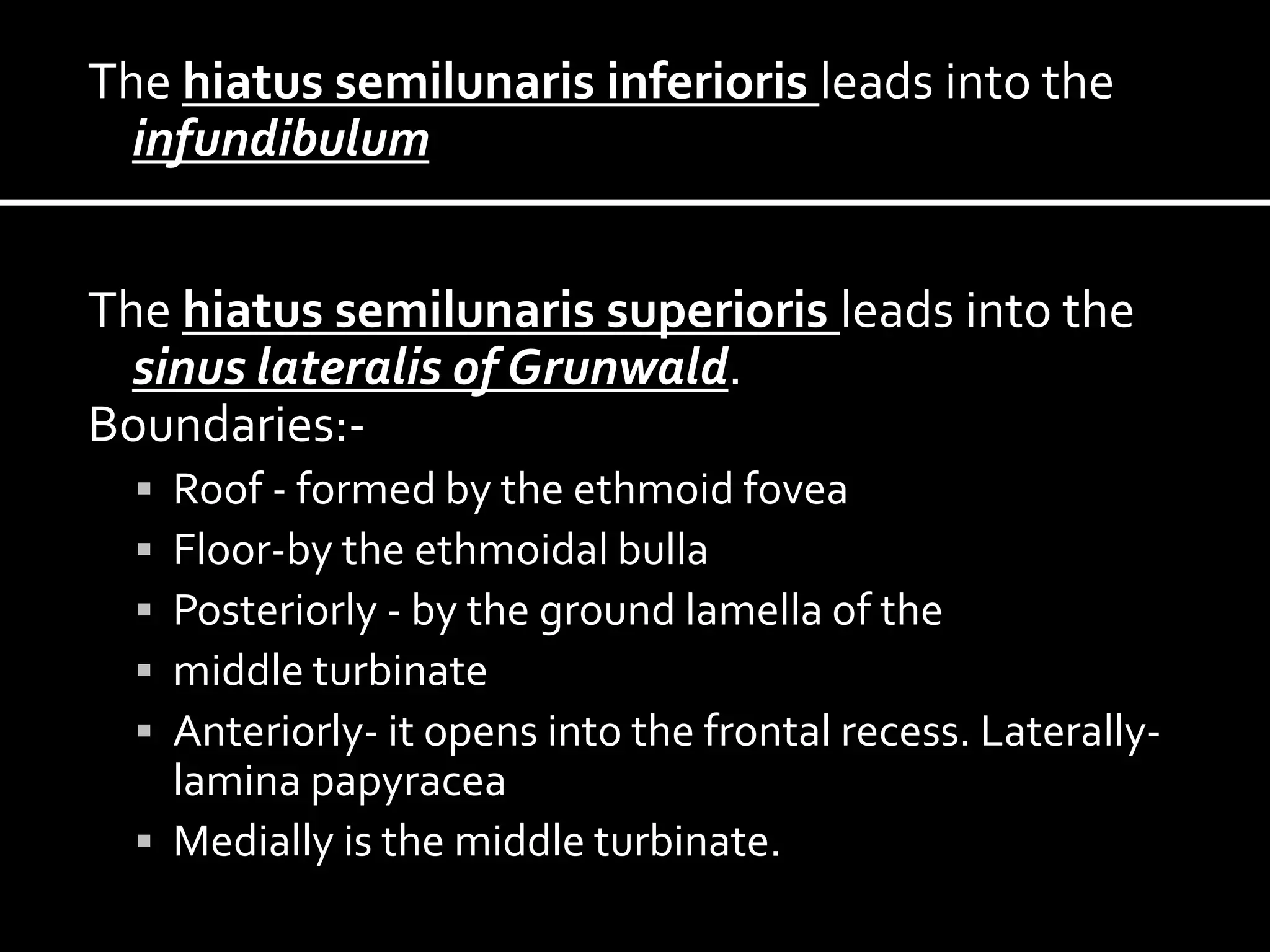 Anatomy of Lateral wall of nose | PPTX
