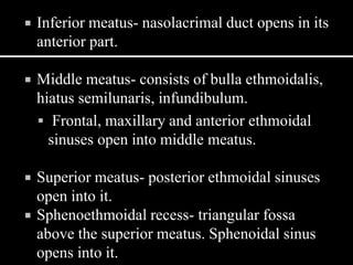 Anatomy of Lateral wall of nose | PPTX