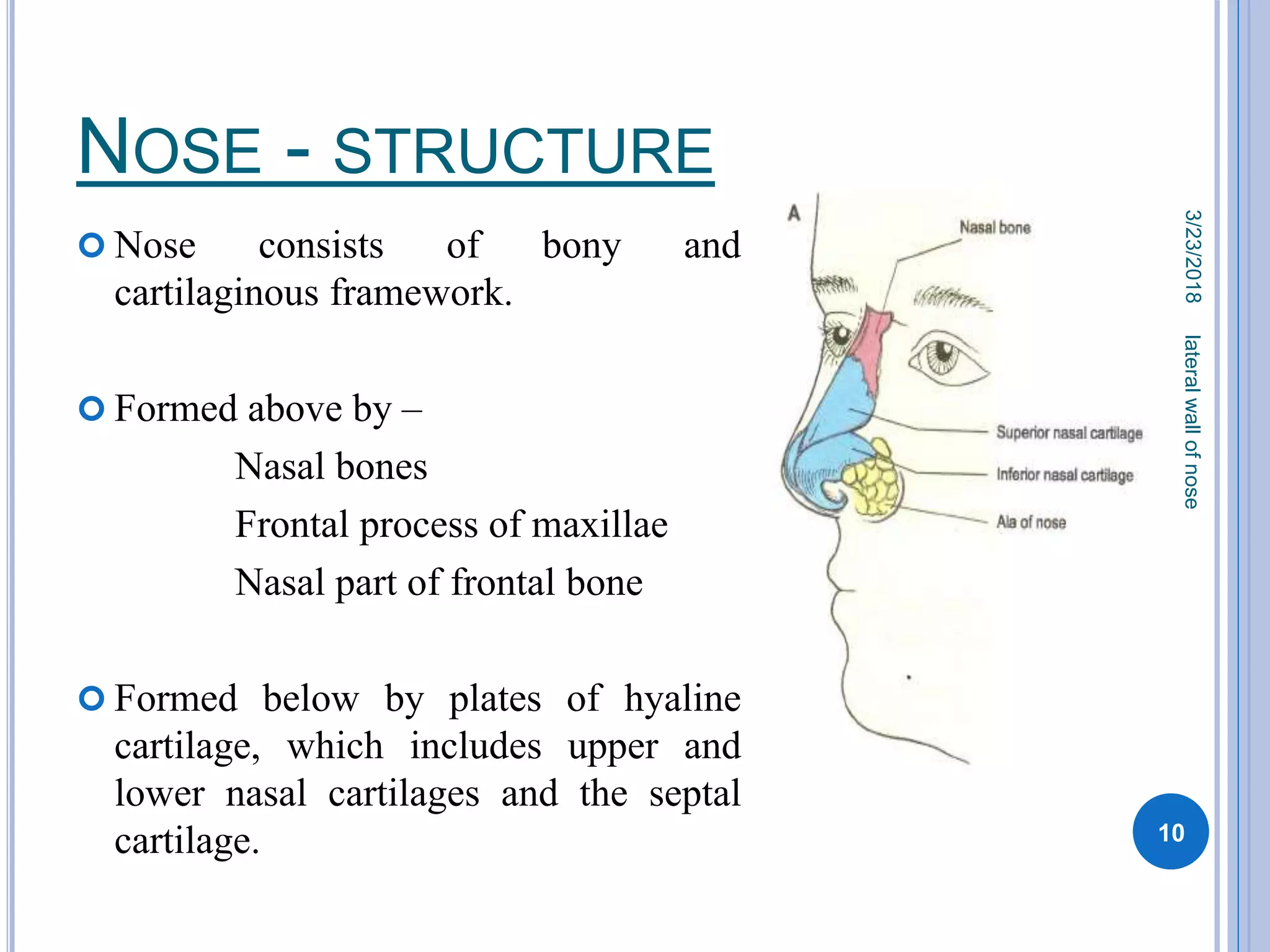 Lateral wall of nose | PPTX