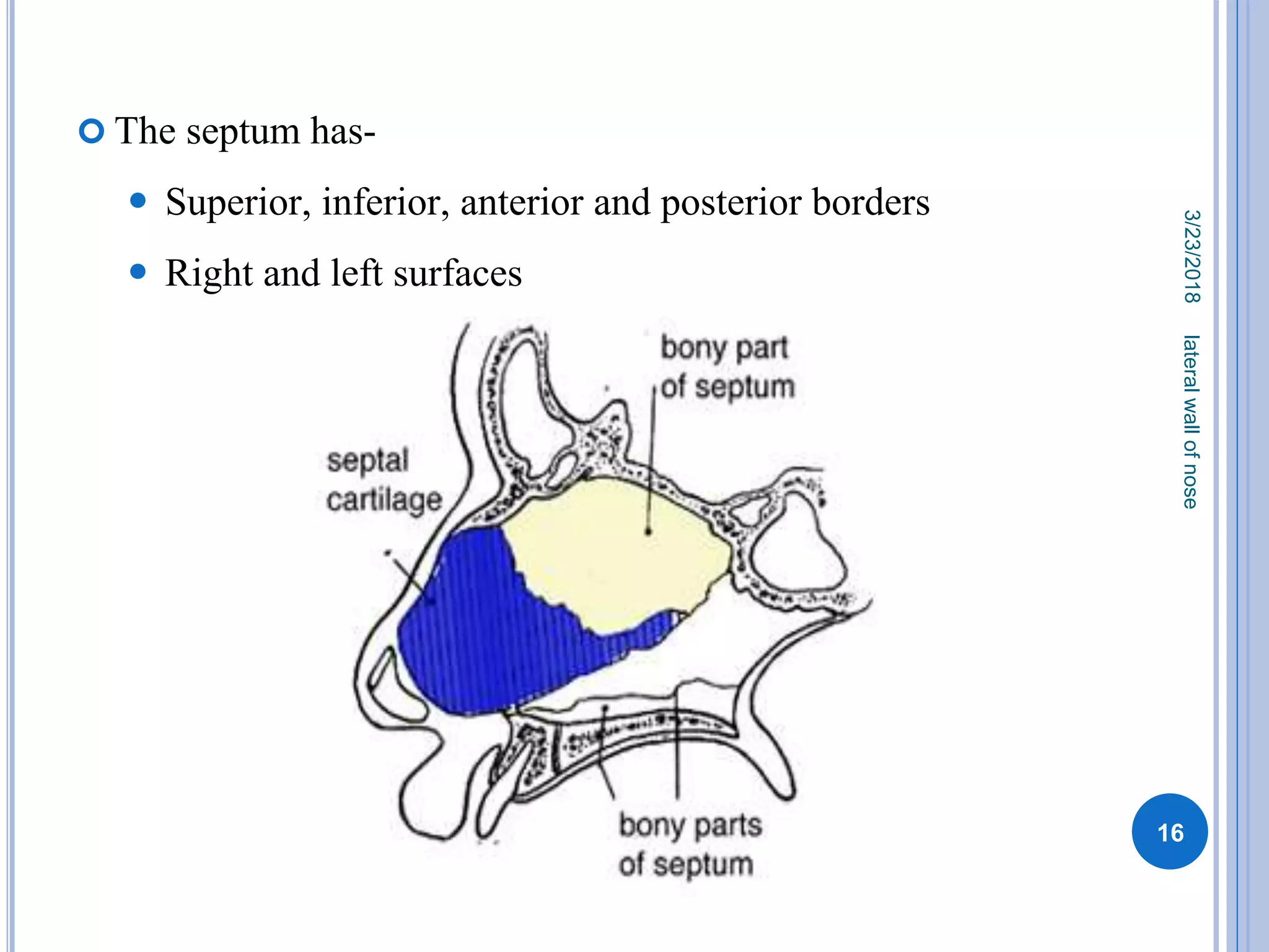 Lateral wall of nose | PPTX
