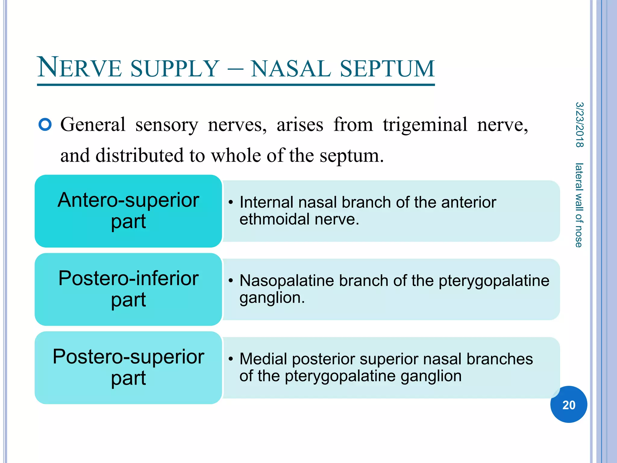 Lateral wall of nose | PPTX