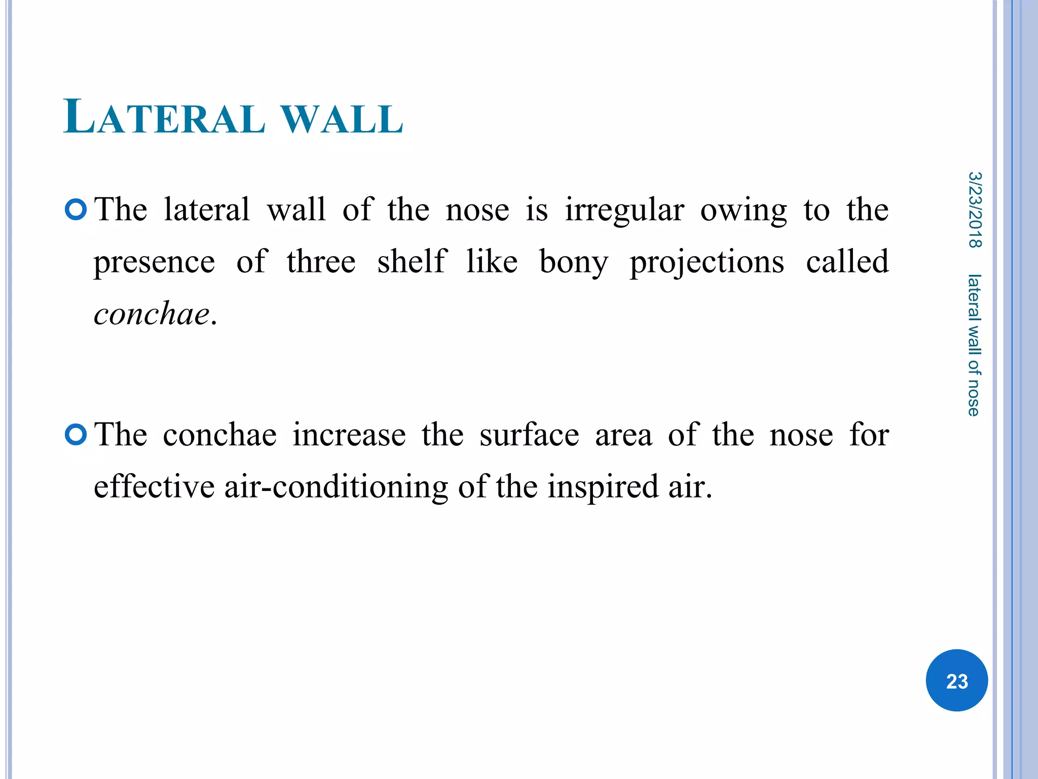 Lateral wall of nose | PPTX