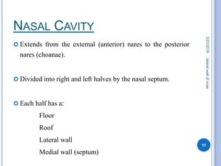 Lateral wall of nose | PPTX