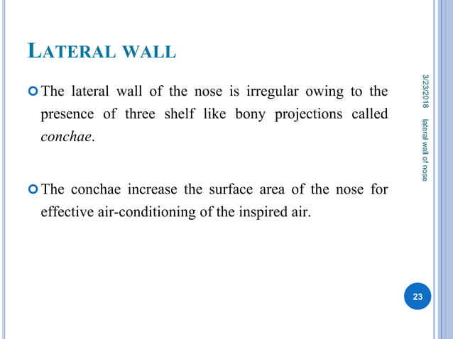 Lateral wall of nose | PPTX | Ear, Nose and Throat Conditions ...